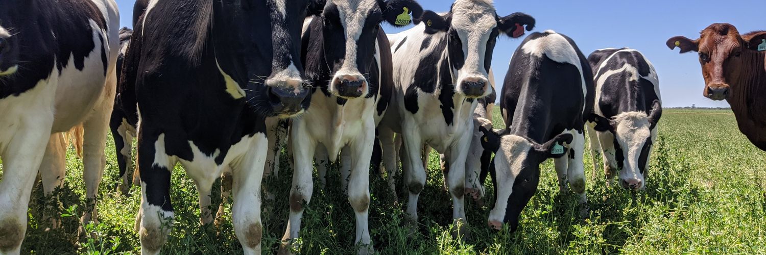 La necesidad de entender a la pastura como un sistema agrícola