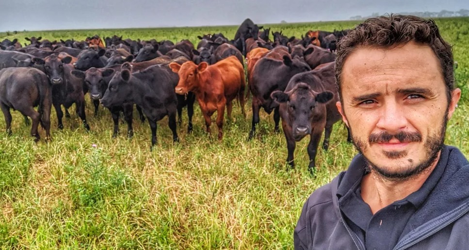 La lupa en la “reina de las forrajeras”